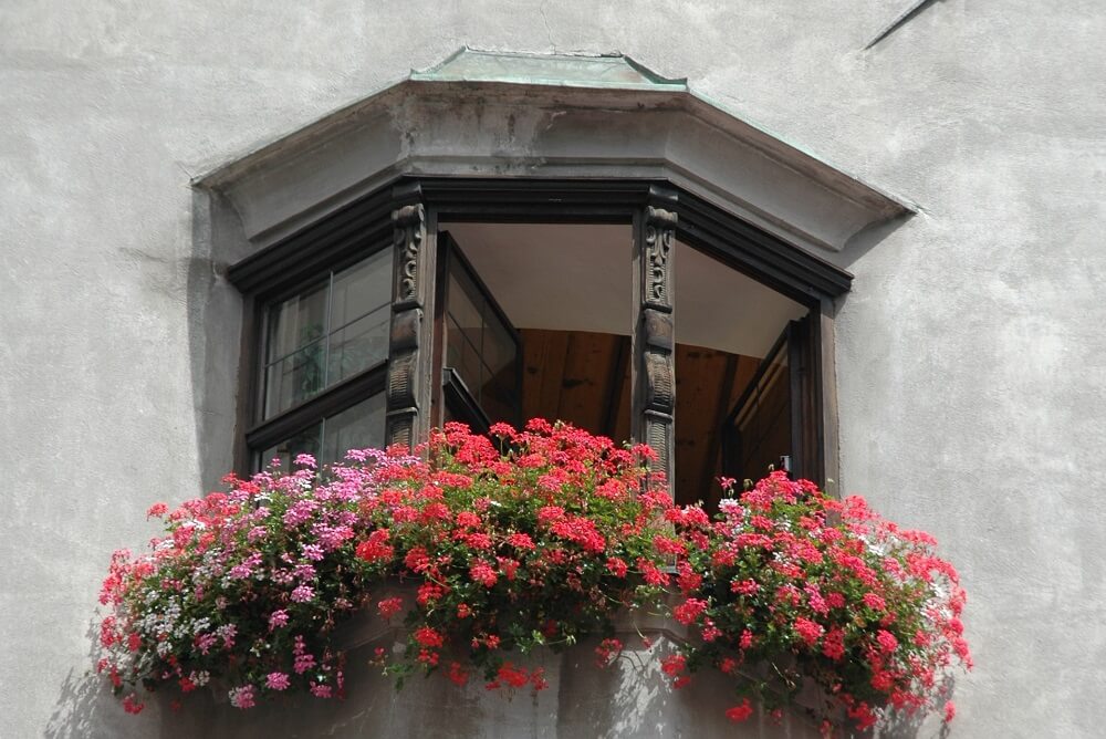 A Guide to Keeping Your Bay Windows Clean – Window Cleaning Online