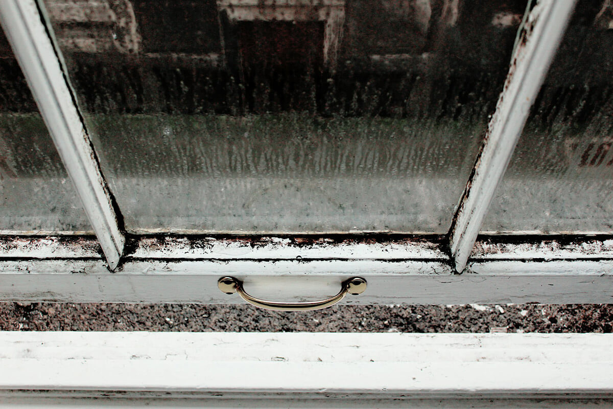 How to Prevent Mould and Mildew Growth Around Your Windows – Window ...